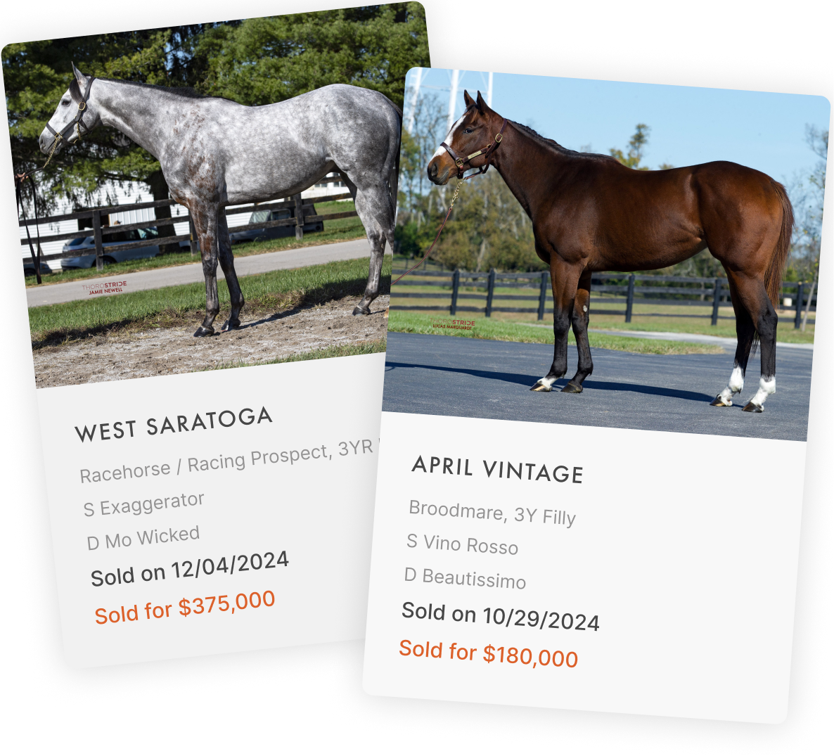 Inglis Digital USA - Inglis Digital USA